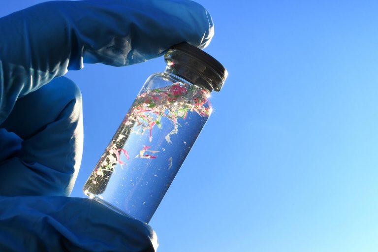 Natural Plant Extract Removes up to 90% of Microplastics From Water
