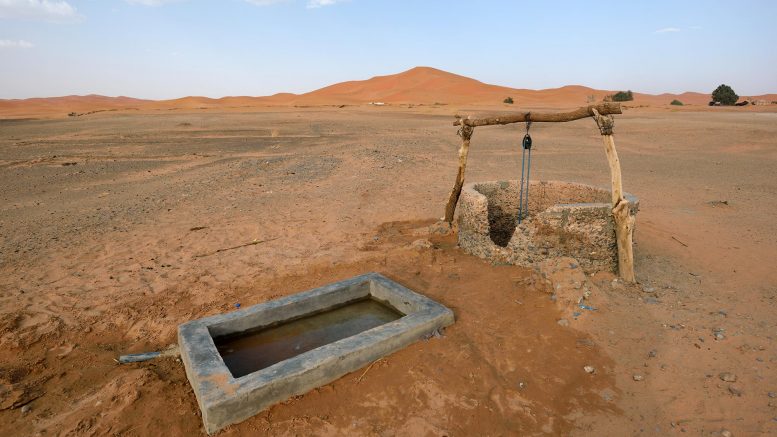 Freshwater News - SciTechDaily