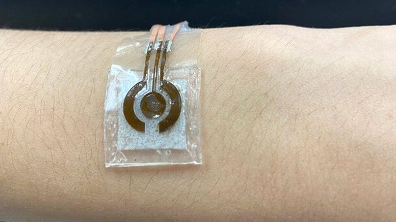 Compact Wearable “Lab on the Skin” Continuously Monitors Glucose ...