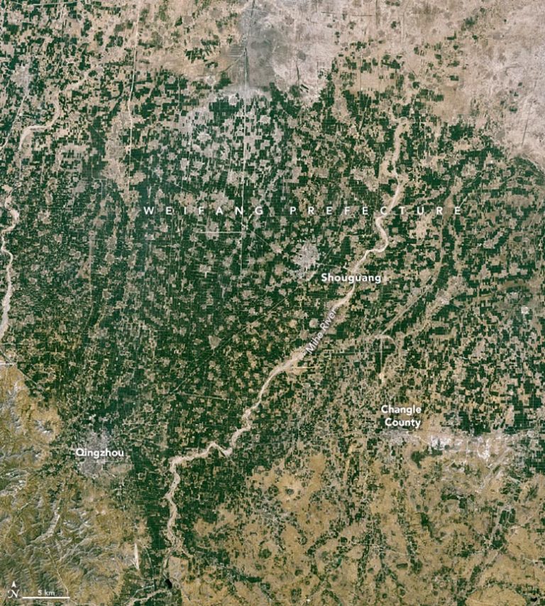 From Space to Soil, Tracking the Explosive Rise of Greenhouses in China