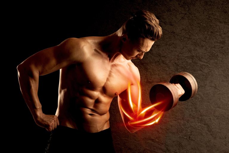 Biophysics Researchers Create Mathematical Model That Predicts Best Way ...