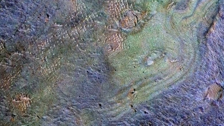 New Research Explains Loss of Carbon in Martian Atmosphere