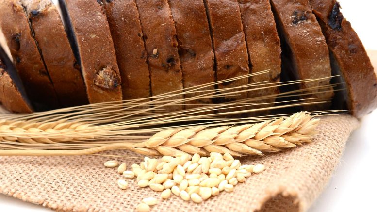 Scientists Improve Photosynthesis in Quest to Create Heat-Tolerant Wheat
