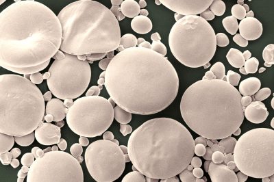 Starch Breakthrough: Discovery Could Revolutionize Human Health and ...