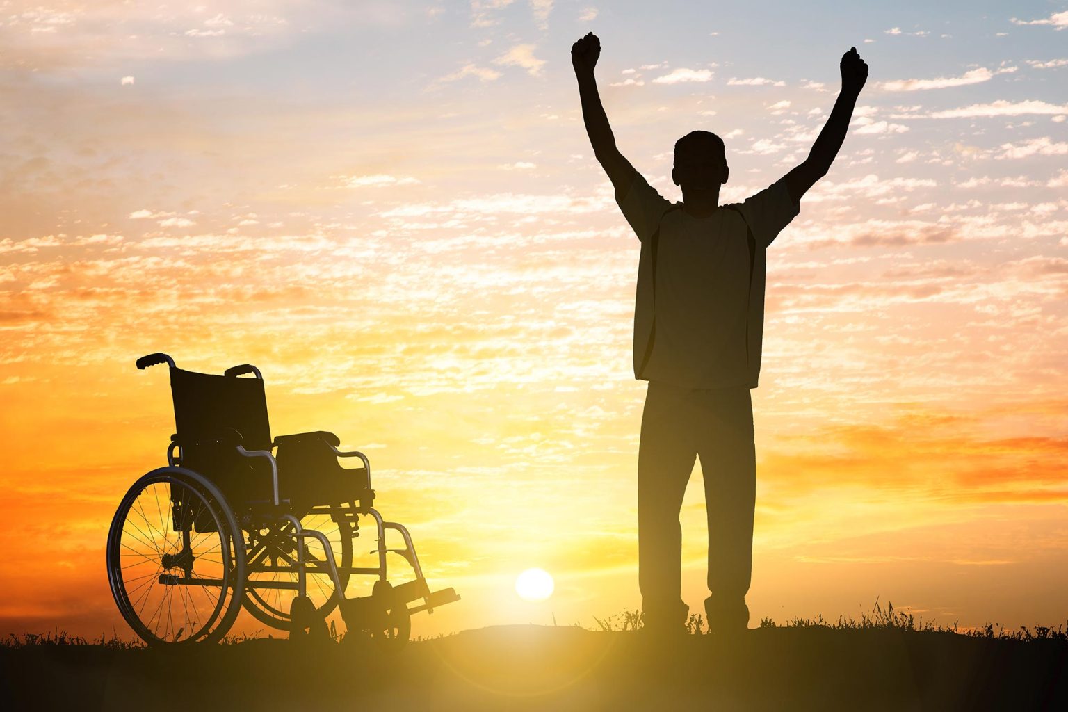 Tiny Lab-Grown Spinal Cords Could Hold the Key to Healing Paralysis