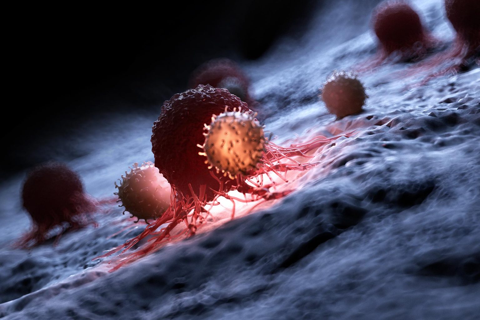 New Cancer Therapy Smuggles Viruses Past Immune Defenses