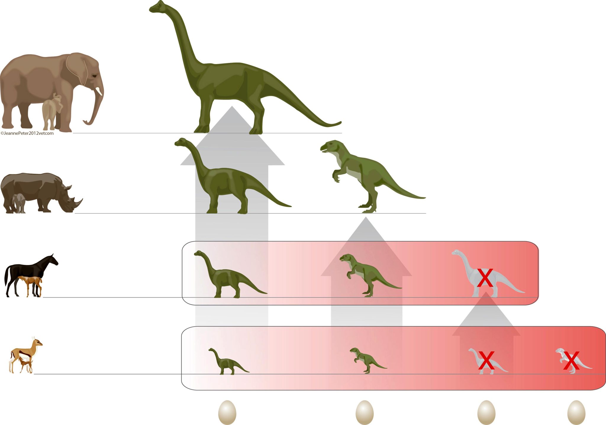 Reproductive Cycle Put Dinosaurs at a Disadvantage