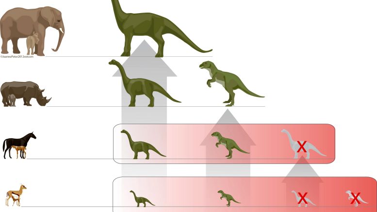 Muscular Study Reveals How Giant 50-Ton Sauropod Dinosaurs Moved and ...
