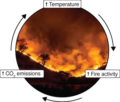 Scientists Warn: Action Required on Many Dangerous Climate Feedback Loops