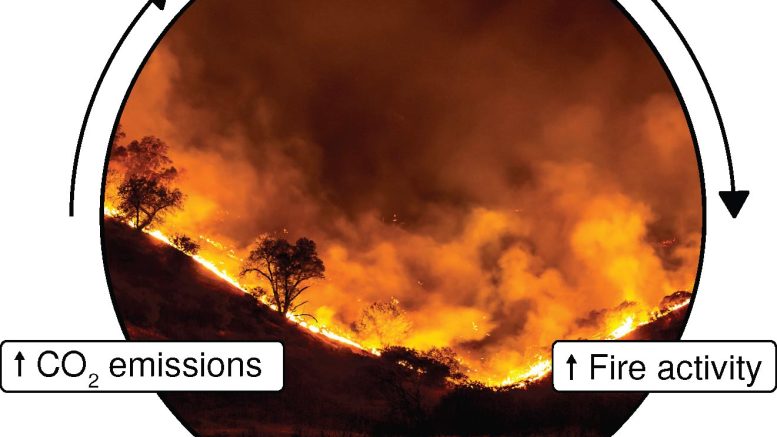 Scientists Warn: Amplifying Feedback Loops Make Climate Action Even ...