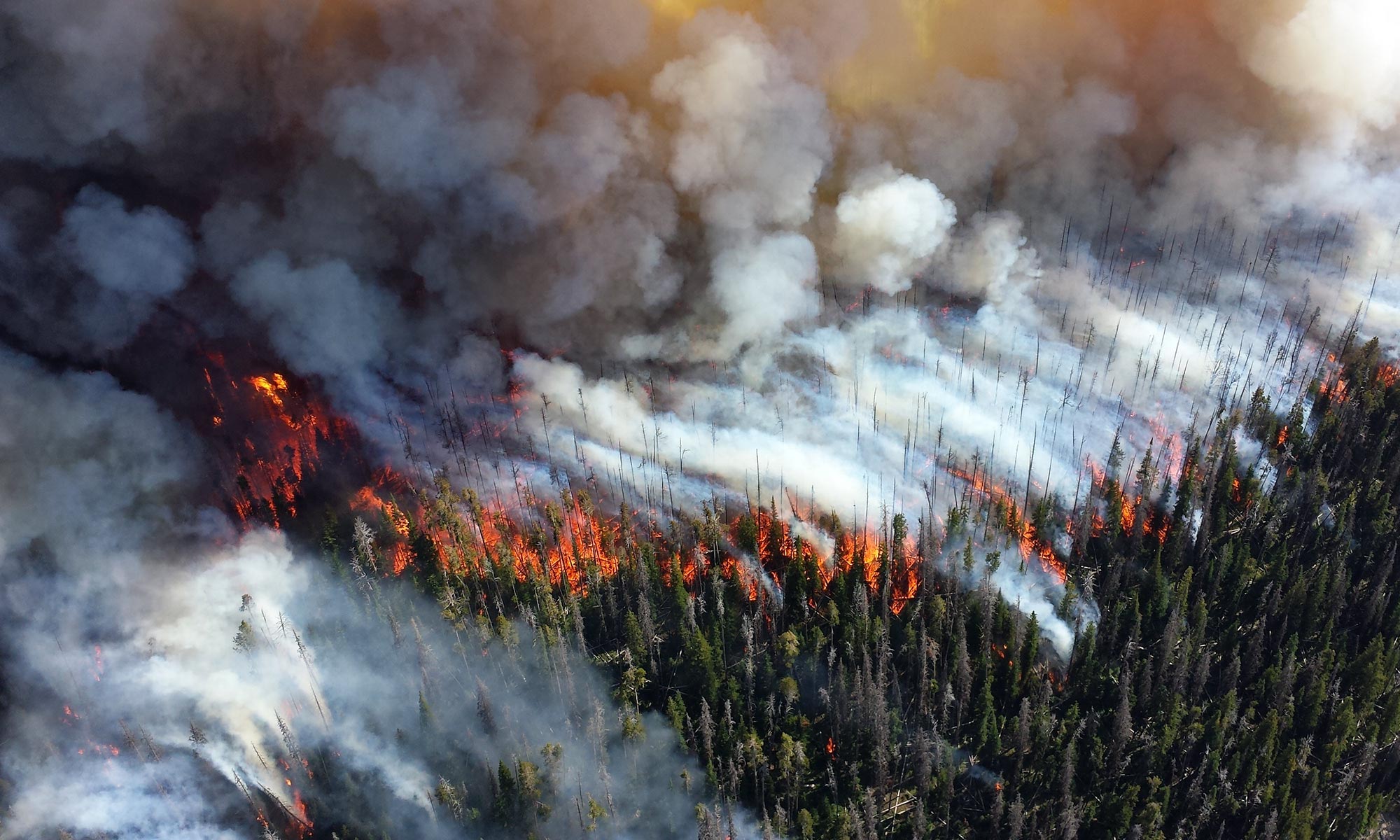 Climate Change Implications of Tiny Airborne Particles From Wildfires