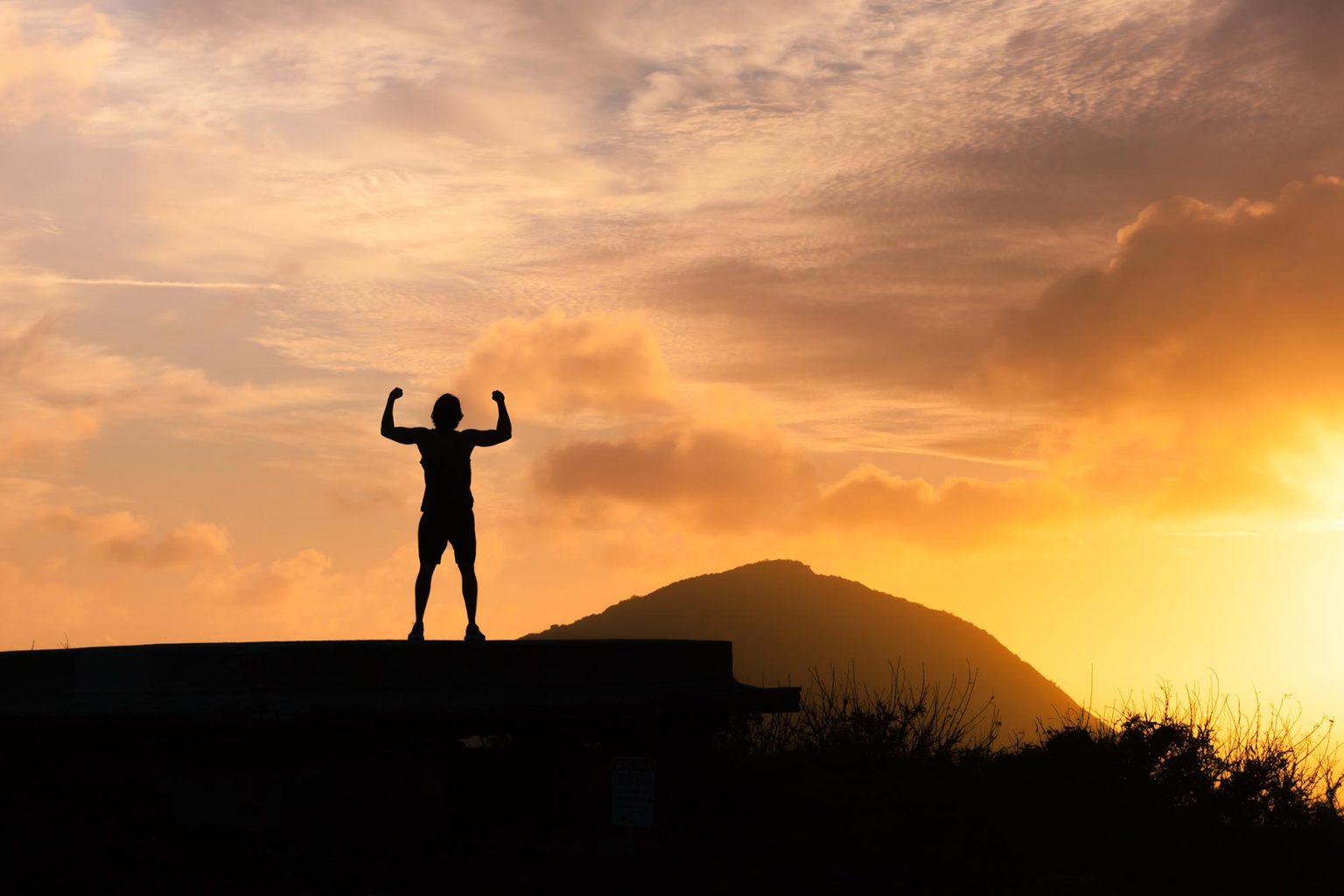 Reversing the Clock – How Exercise Can Mimic the Effects of Youthful Cells