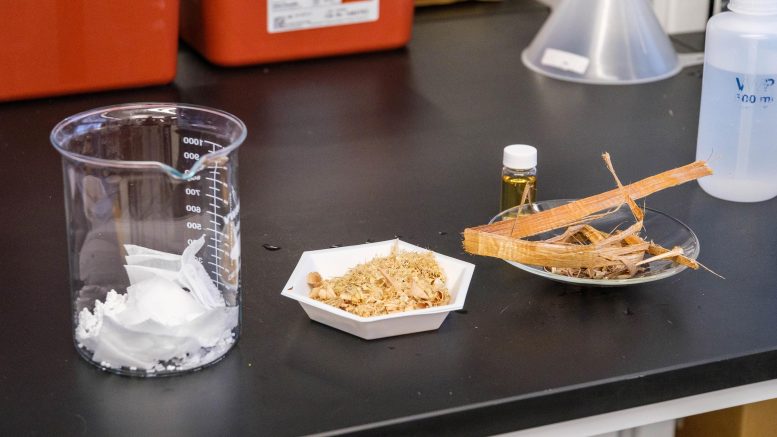 Stunning Hubble Image of Majestic Galaxy NGC 1015