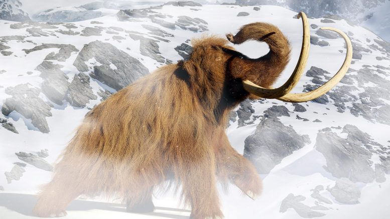 Isotopes Reveal the Incredible Lifetime Journey of an Arctic Woolly Mammoth