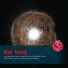 Astronomy & Astrophysics 101: Red Giant