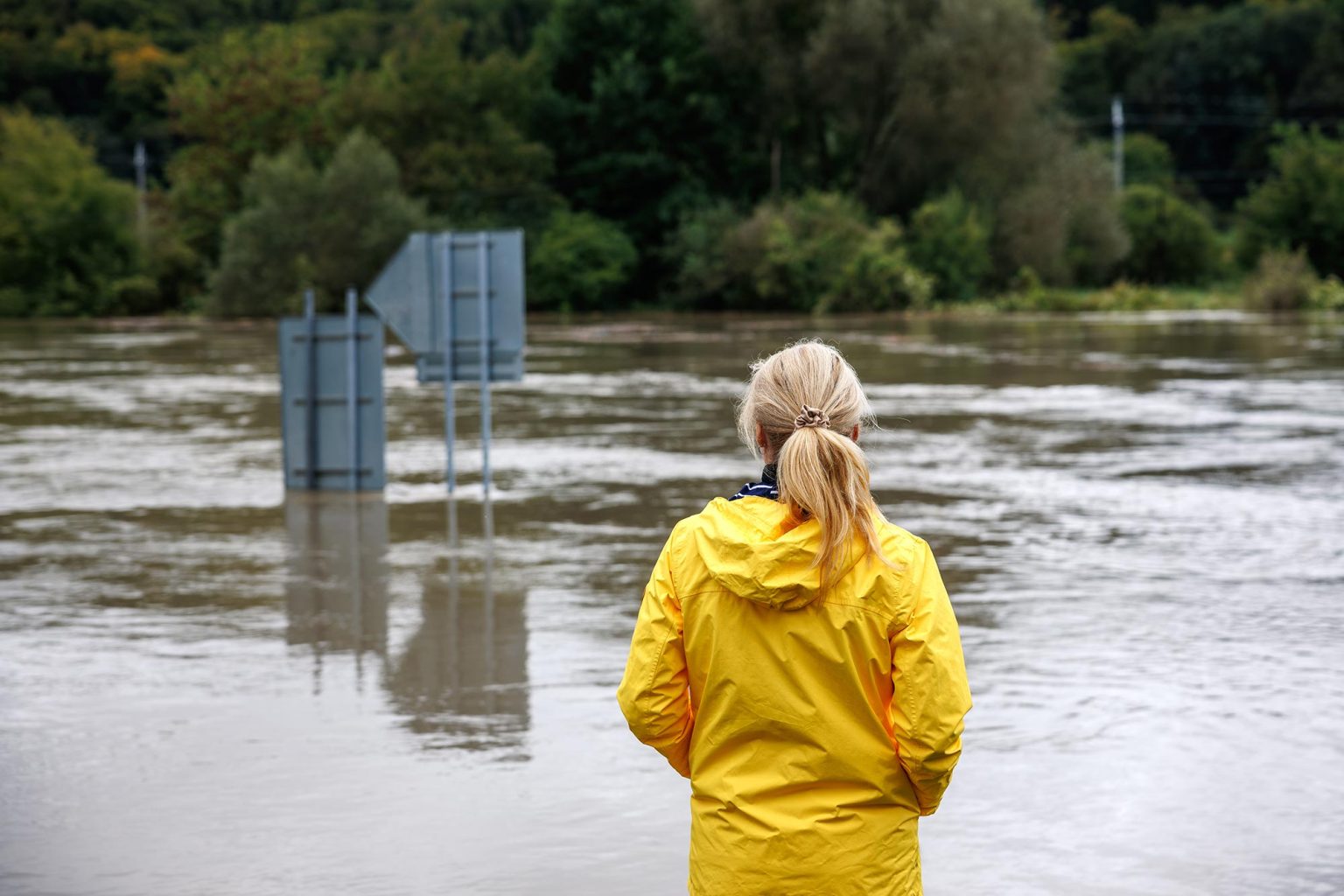 Clear-Cutting Triggers 18x More Floods, for 40+ Years