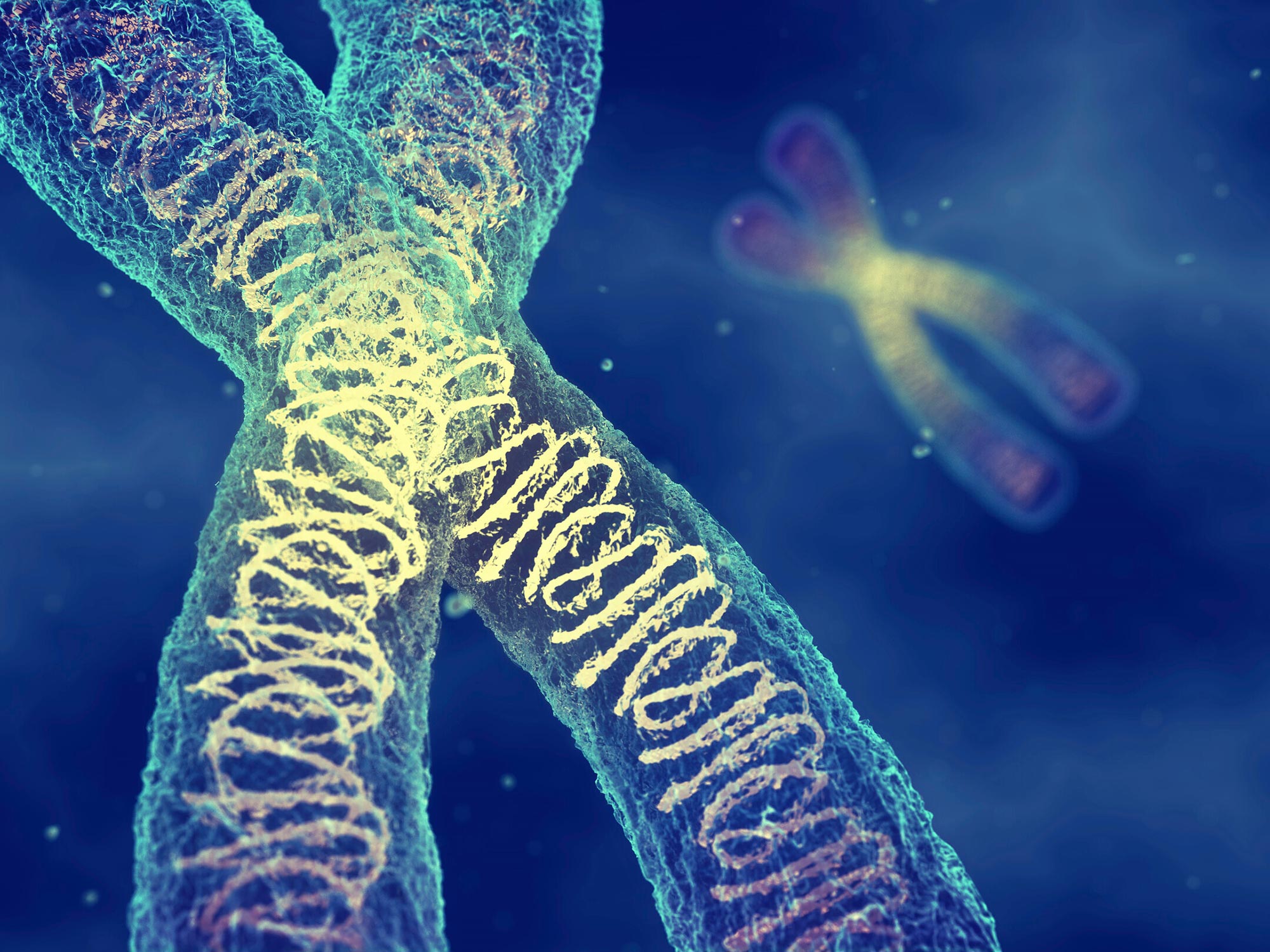Landmark Achievement For Genomics Researchers First Complete Assembly