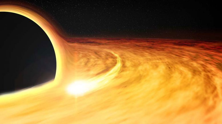NASA's Swift Reveals a Star's Plunge into a Black Hole