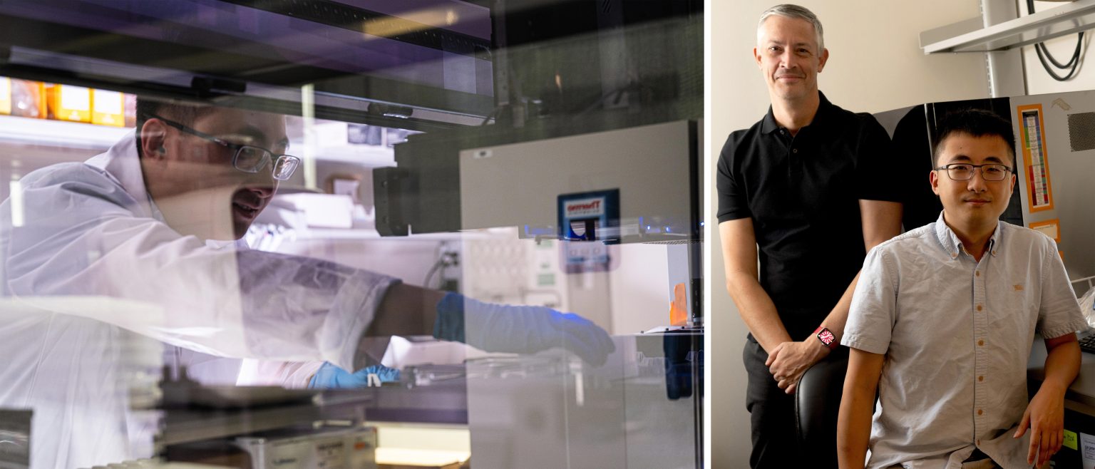 Bioengineers Create “Smart Cells” That Detect and Fight Disease in Real ...