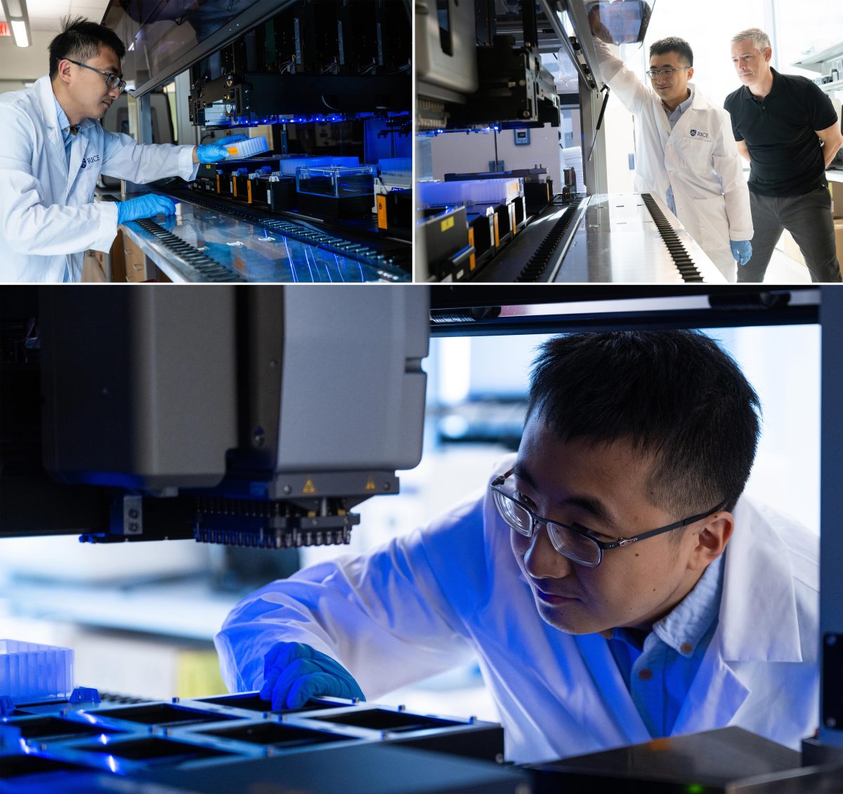 Bioengineers Create “Smart Cells” That Detect and Fight Disease in Real ...