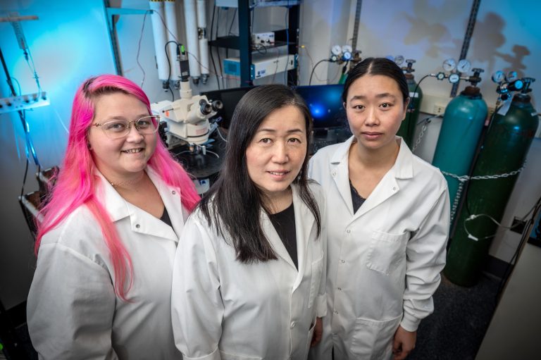 When These Neurons Are Activated by Chronic Stress – Behavioral ...
