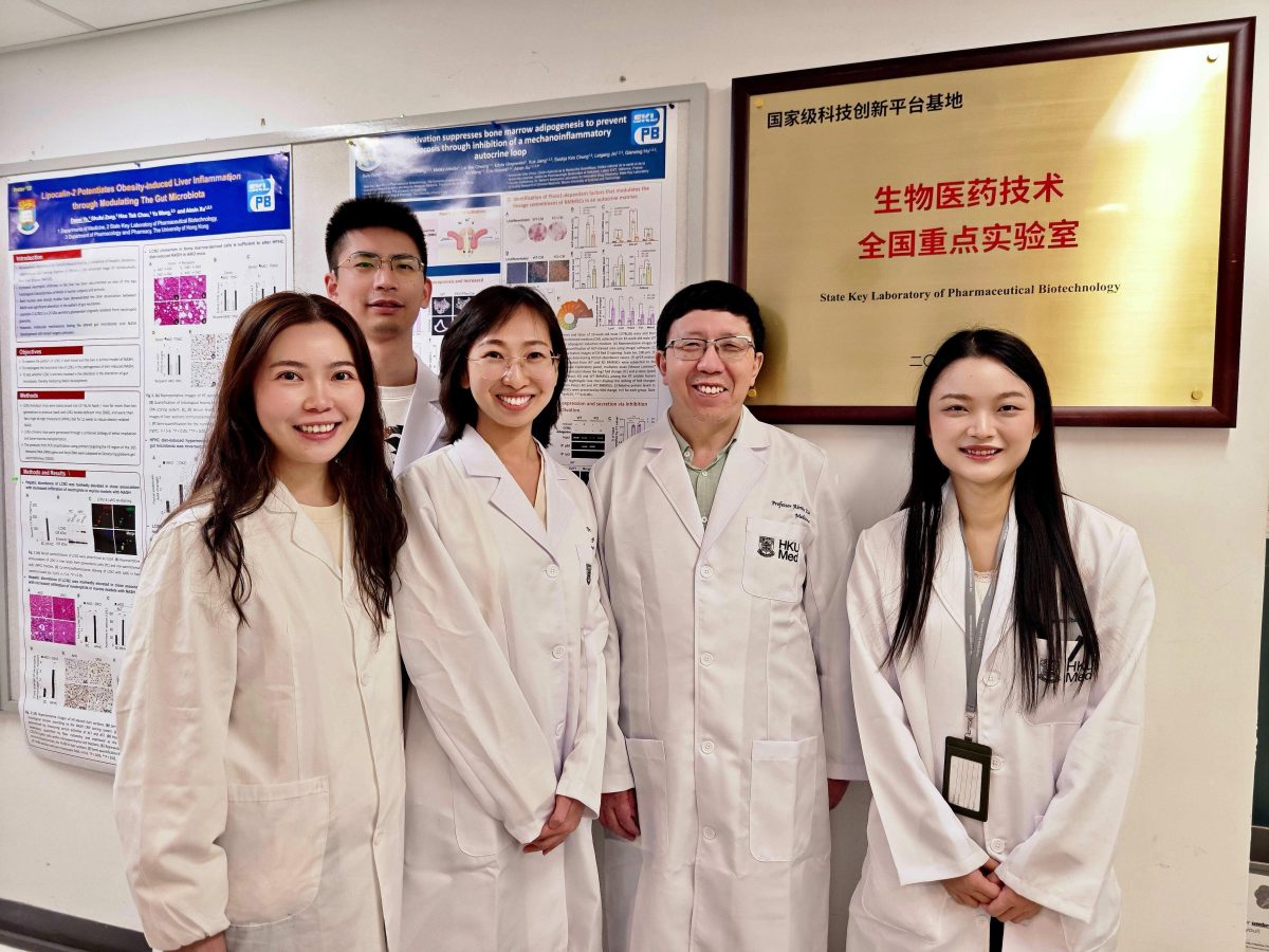 Breakthrough Bone Discovery Could Lead To “Exercise-in-a-Pill” for ...