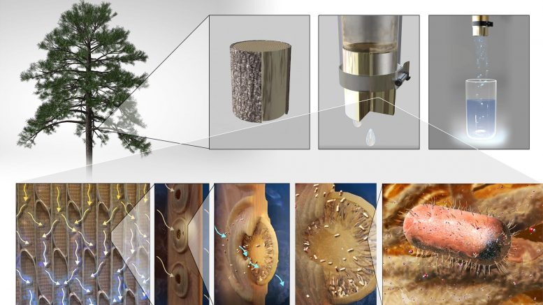 Researchers Develop Graphene Membrane Water Filters