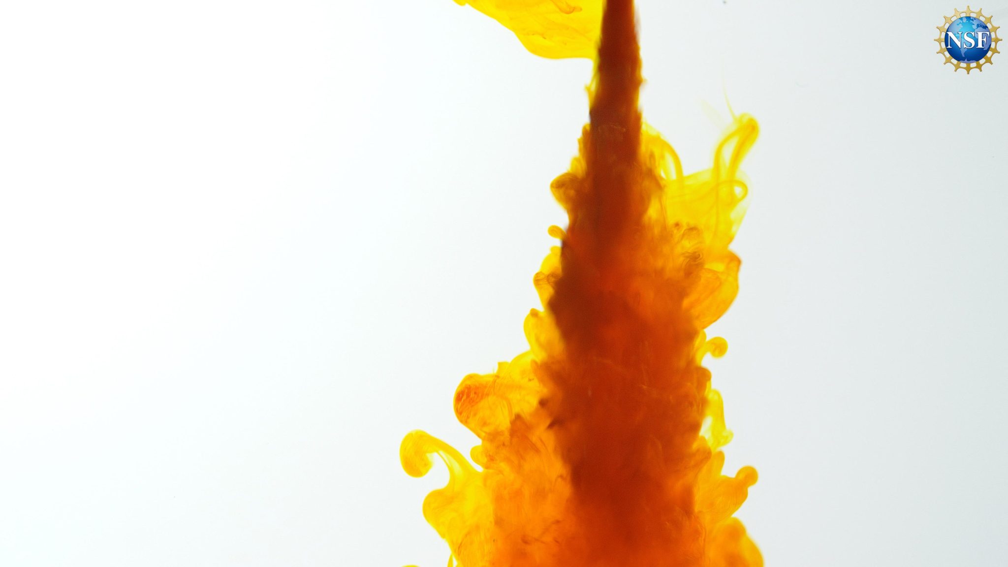 Scientists Use Food Dye to Peek Inside Living Mice