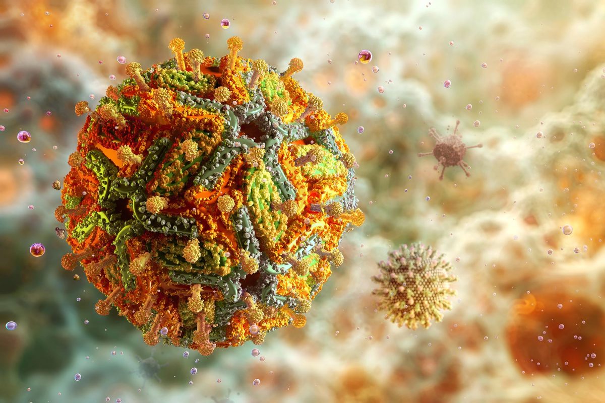 Scientists Solve Yellow Fever Mystery with Unprecedented High ...