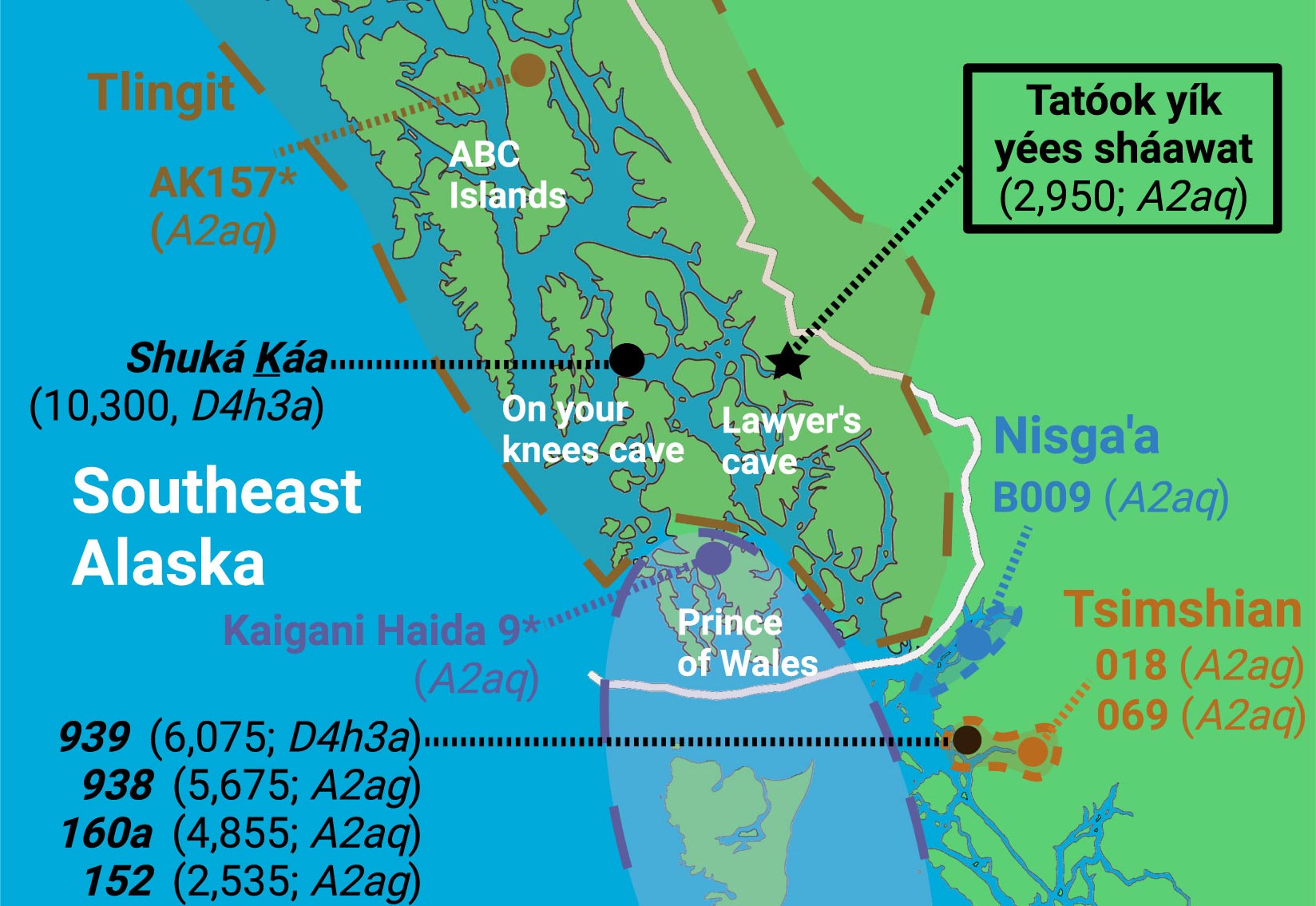 A Grizzly Discovery: Search for Ancient Bears in Alaskan Cave Leads to ...