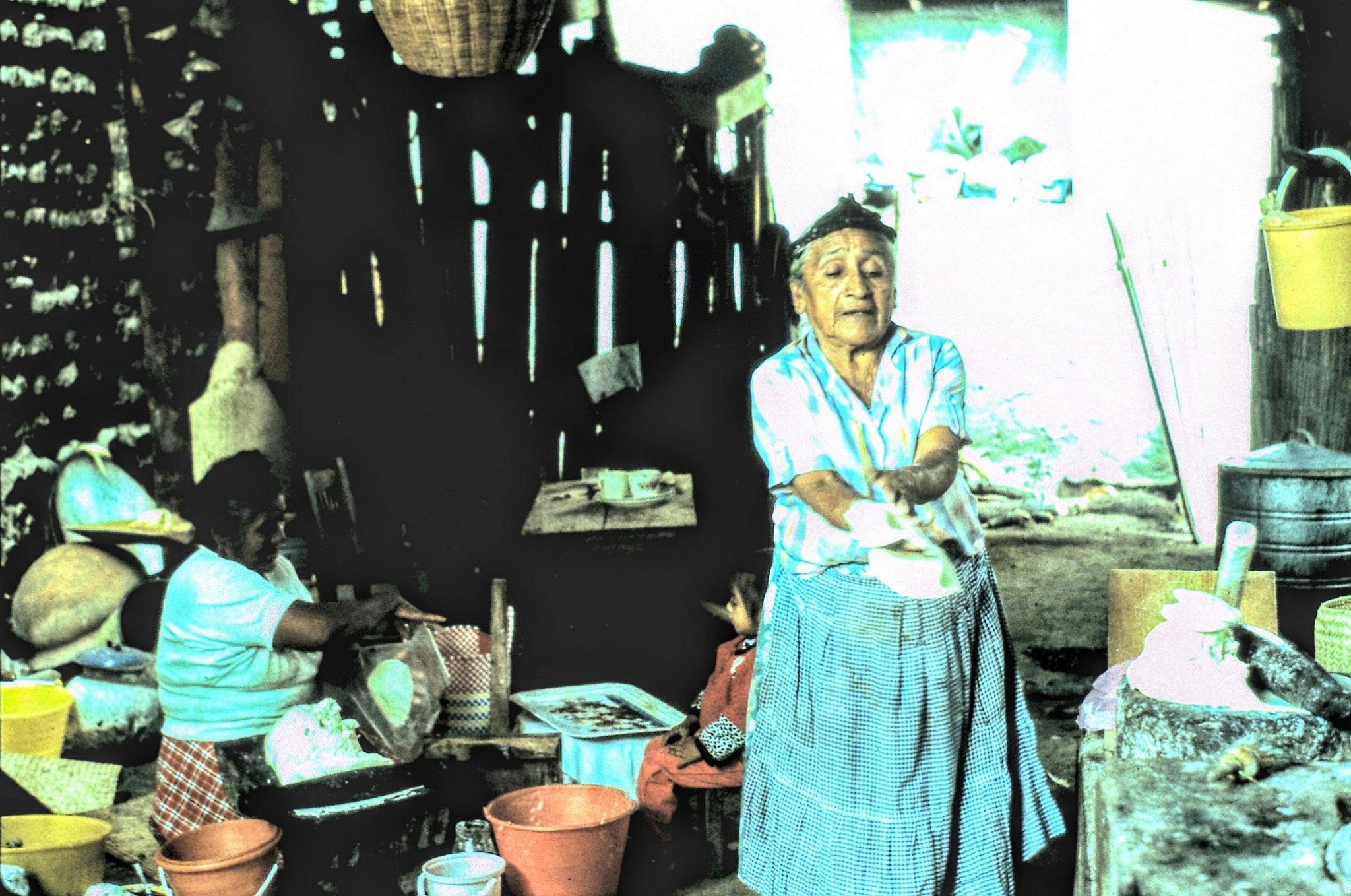 Grasshoppers and Roadblocks: Indigenous People Fight COVID-19 in Rural ...