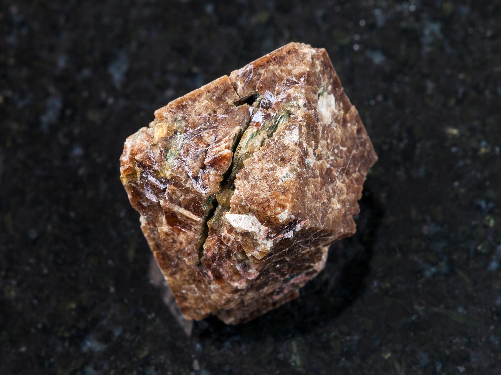 New Models Help Unveil the Mystery of Life’s Origins on Earth