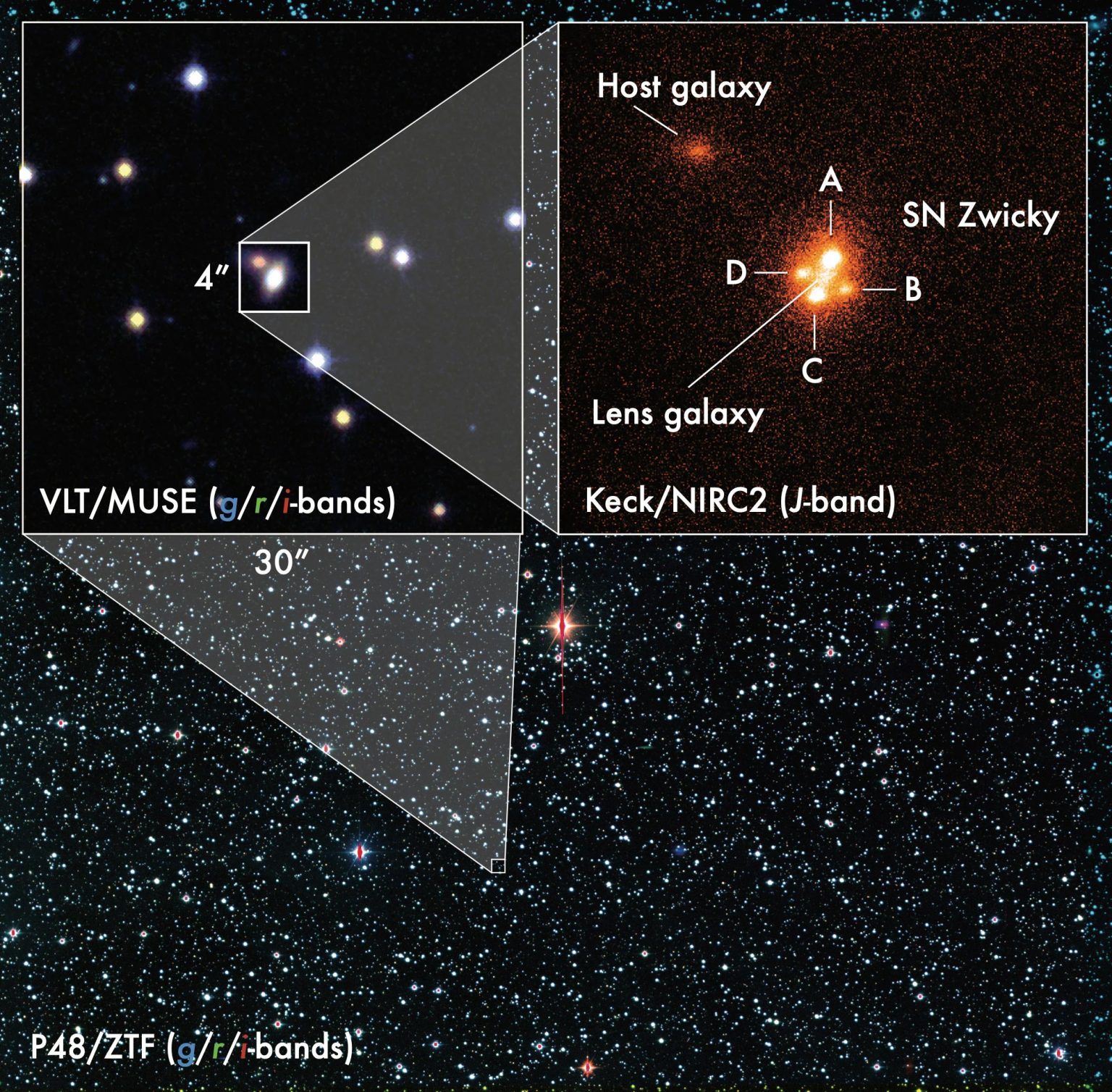 Einstein’s Theory in Action: Supernova Explosion Revealed by Rare ...