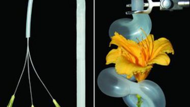 Engineers Develop Micro-tentacles So Tiny Robots Can Handle Delicate Objects