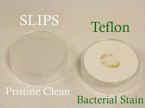 SLIPS Coating Prevents Bacteria From Forming on Solid Surfaces
