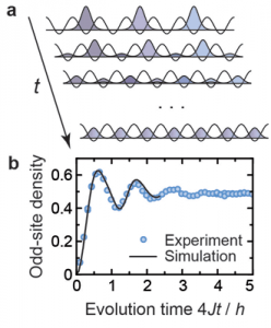 Ultracold Atoms as Quantum Simulators