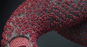 Visual Science's Ebolavirus 3D Model is 10 Times More Complex Than ...
