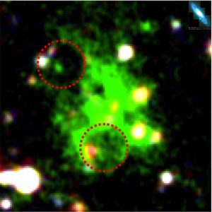 Lyman-Alpha Blobs are Some of the Largest Individual Objects in the Observable Universe