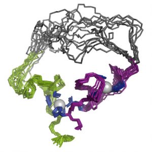 First Artificial Enzyme Created by in Vitro Directed Evolution