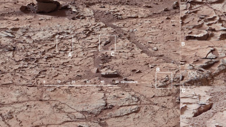 New Curiosity Image Shows 'Garden City' Site on Mount Sharp