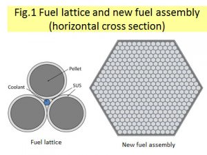 Conceptual Nuclear Reactor Design of High Plutonium Breeding by Light ...