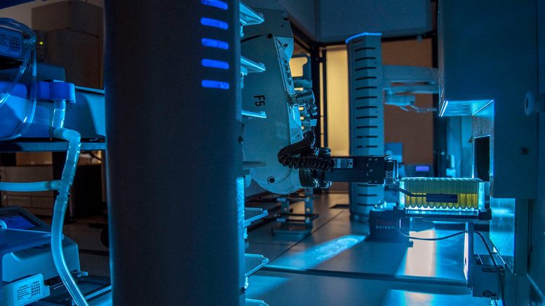 The Formation of a Quadruple Star System