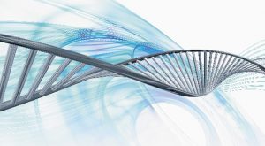 Genome Studies Indicate That "Junk" DNA Holds Clues to Common Diseases