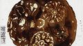 160 Years Later, Study Shows Charles Darwin Was Right About Why Insects ...