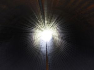 The Scientific Cause of Near-Death Experiences