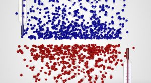 Quantum Gas Temperature Goes Below Absolute Zero