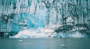 Rapidly Retreating Glacial Ice Leaves Species Threatened